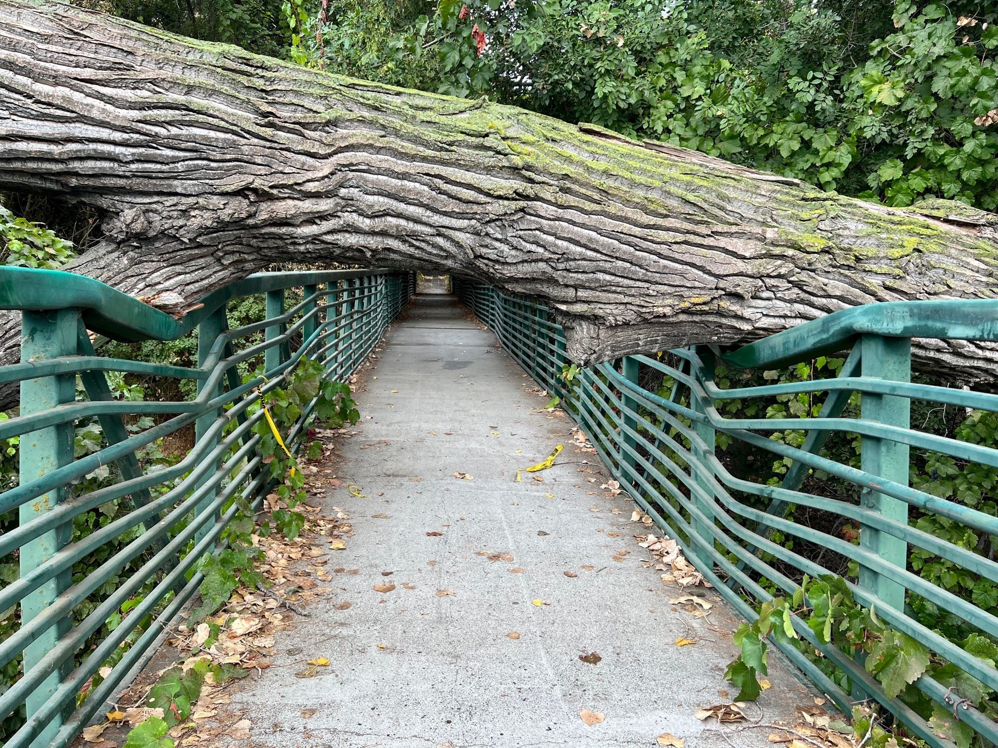 Ripon, CA | Official Website